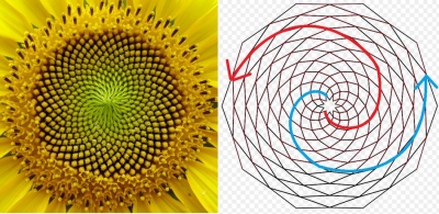 Keindahan Matematika